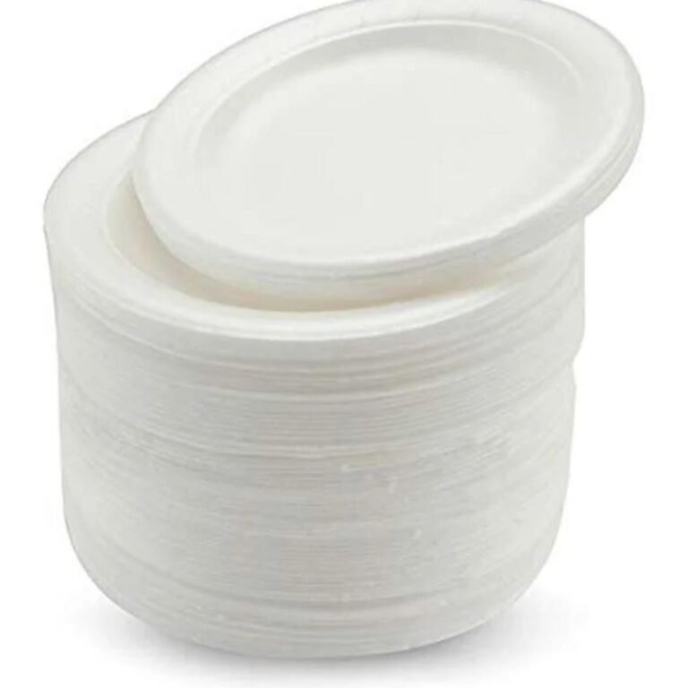 Buy Large and Small Disposable Plates – Pack of 50 | Restomart.pk