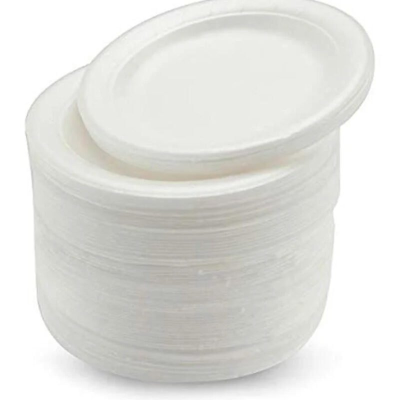 Buy Large and Small Disposable Plates – Pack of 50 | Restomart.pk